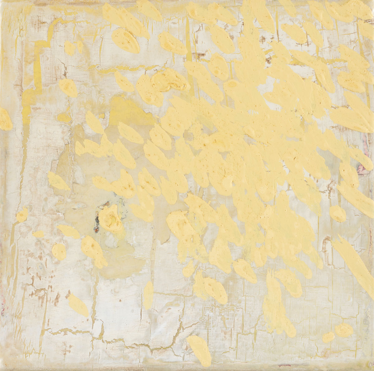 Continuum | galleryathome