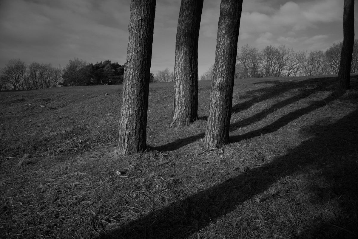 Client Hills - edition 1 of 5 | galleryathome